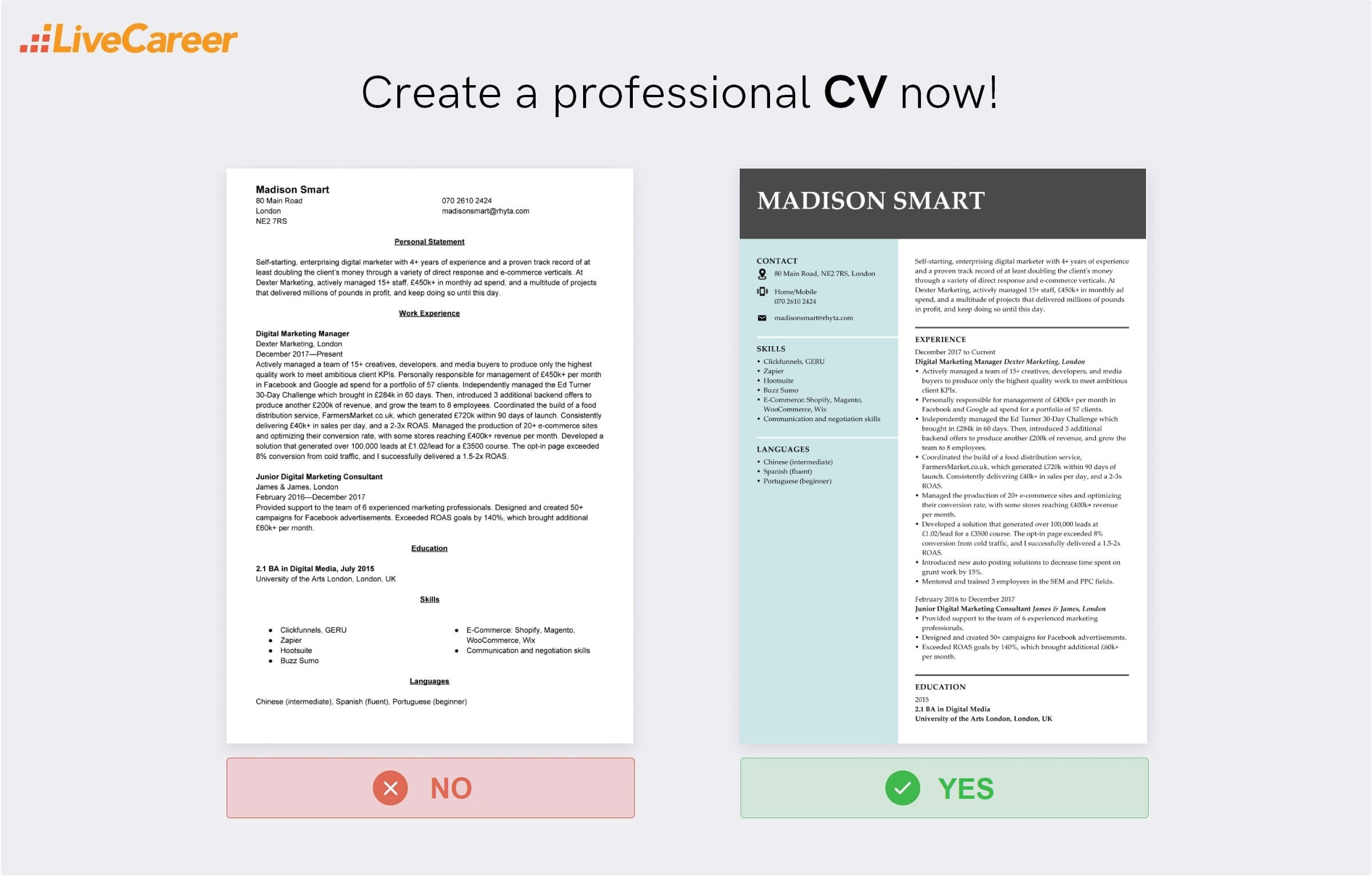 Digital Marketing CV Examples Guide For 2023
