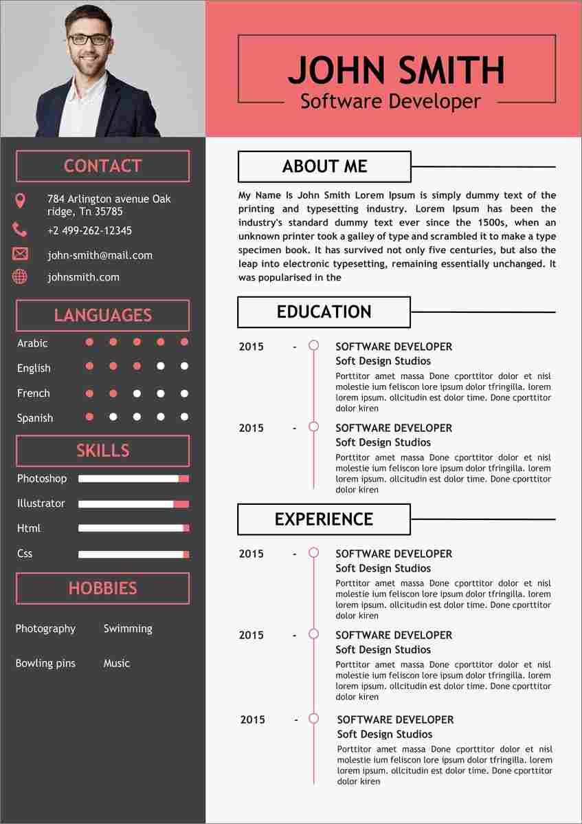 Software Engineer Cv Template Free Download 2020 Professional CV 