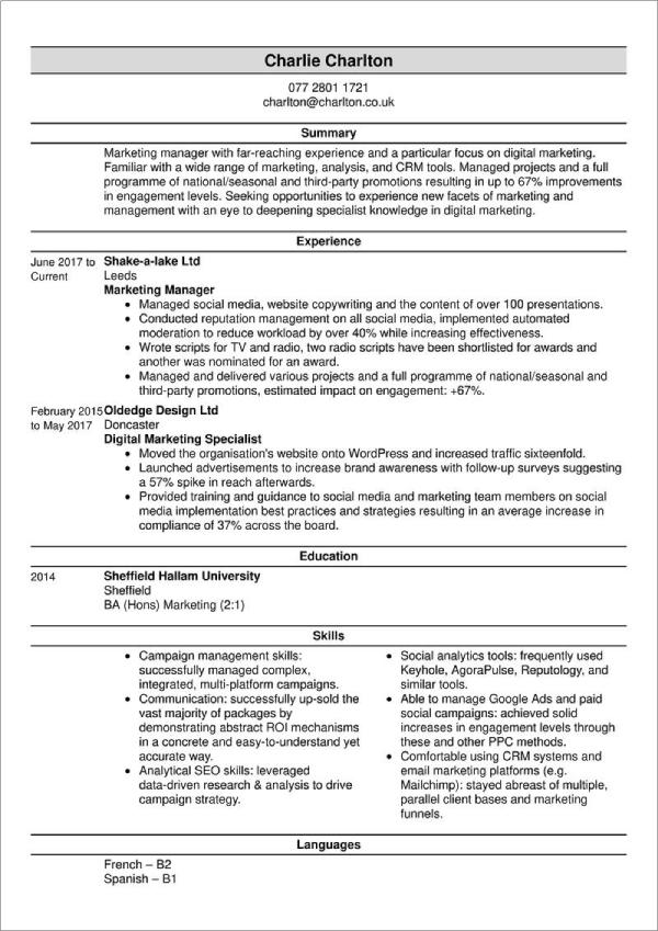  How To Write A One Page CV Example Template